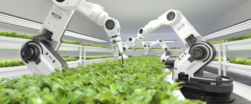 Technical Services | Global Wisdom Services